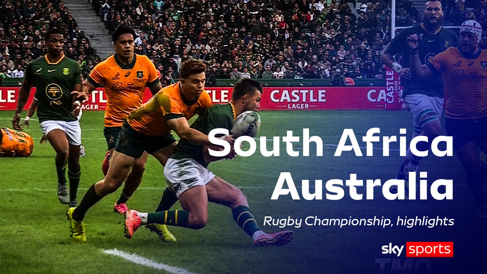 Rugby Championship 2025: Full results as South Africa retain title and ...