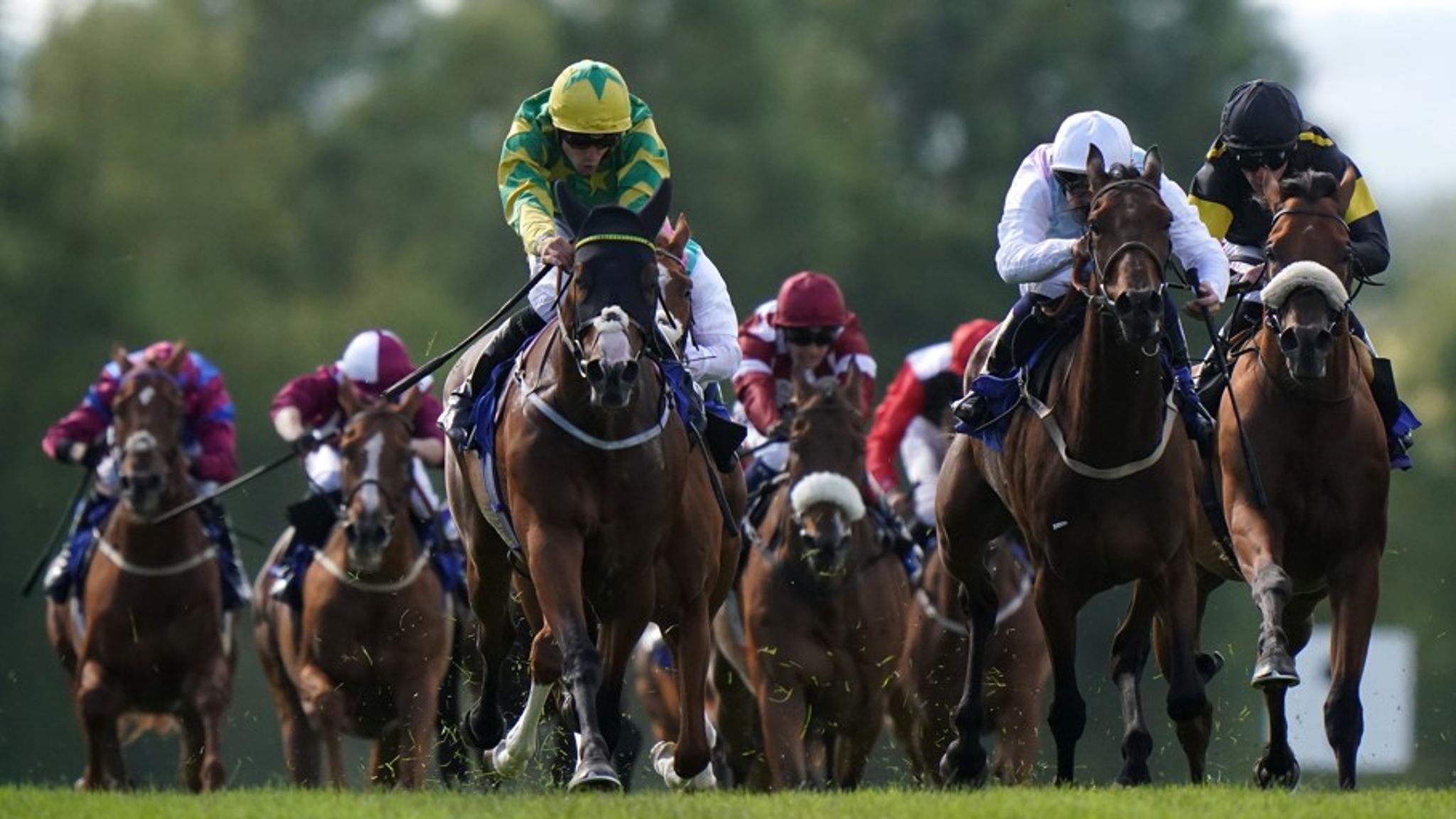 Hollie Doyle: Unfancied Spartan Arrow can show up well at York | Racing ...