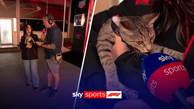 Azerbaijan GP: Ted meets Baku paddock cat | F1 News | Sky Sports