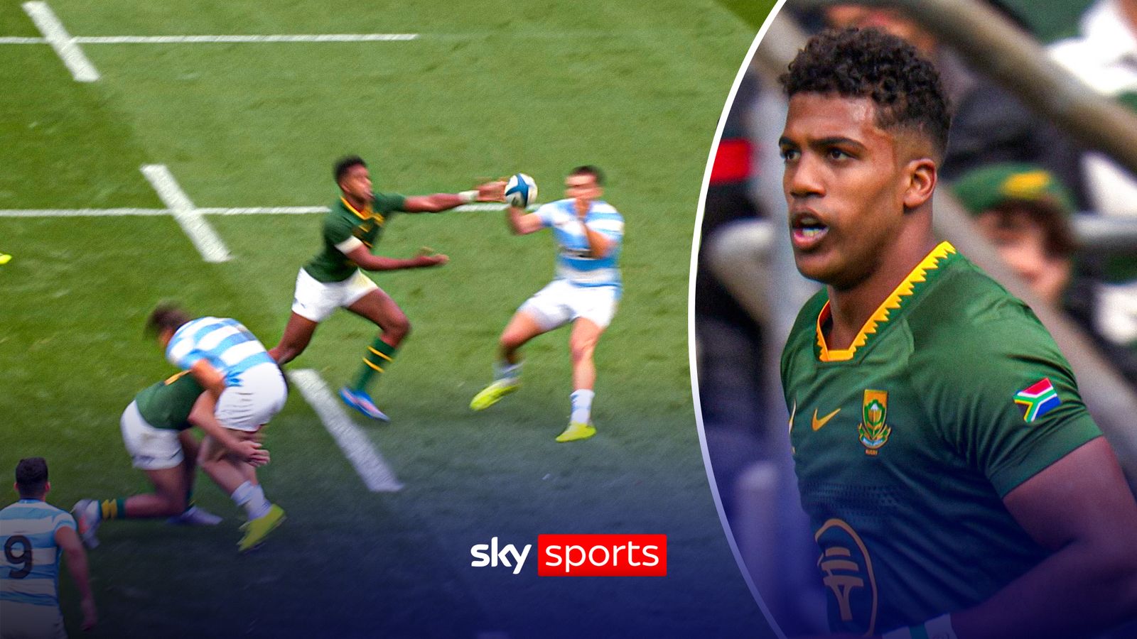 Argentina vs South Africa: Should Moodie have seen red? - 'He's very ...