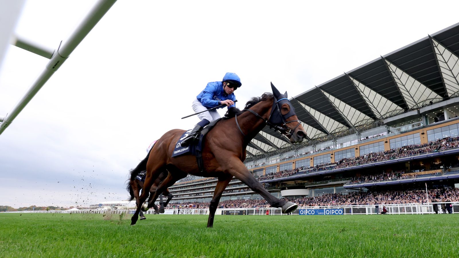 British Champions Day: Trawlerman scoops Long Distance Cup honours for ...