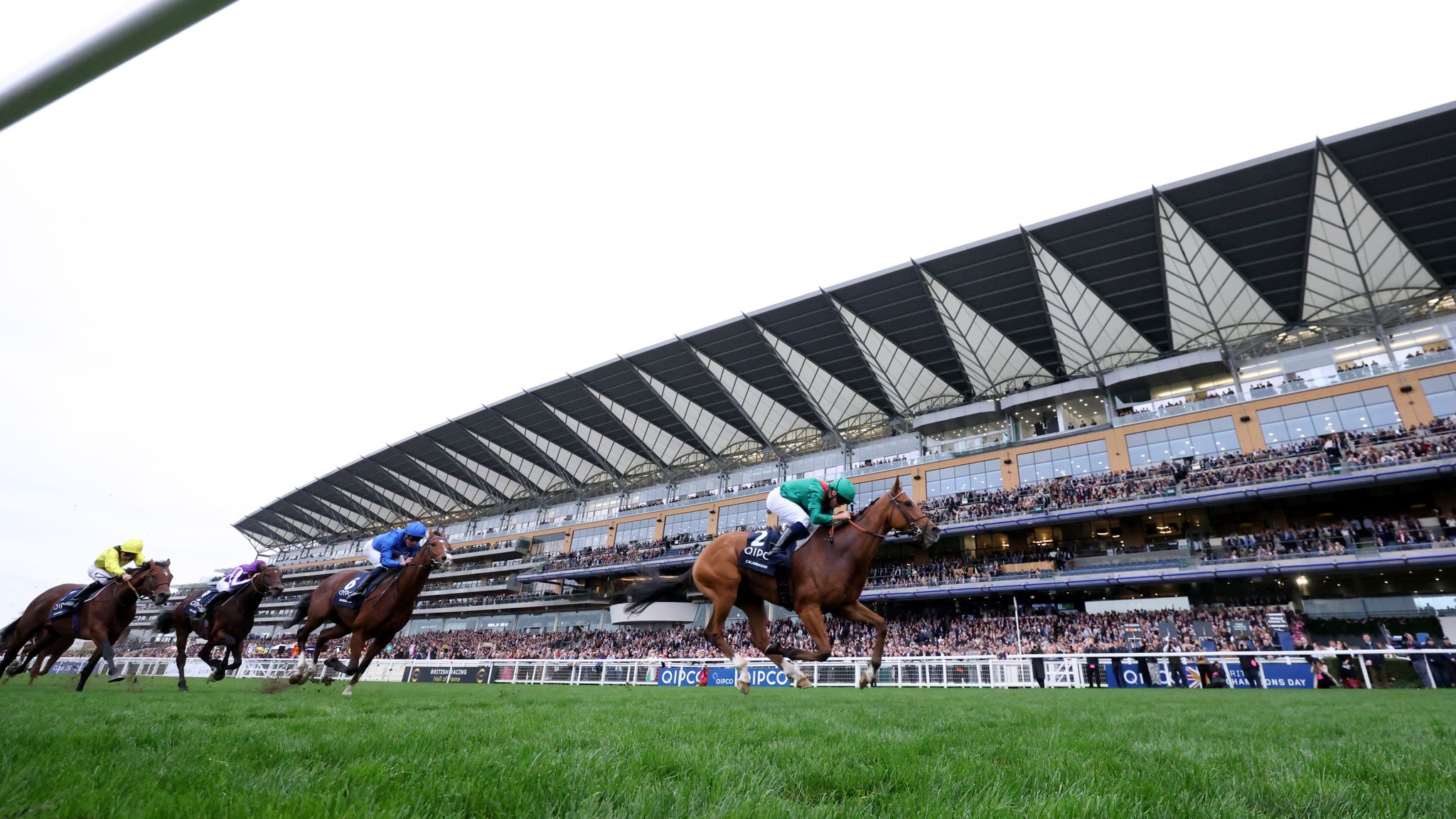 British Champions Day: Calandagan claims Champion Stakes crown in style ...