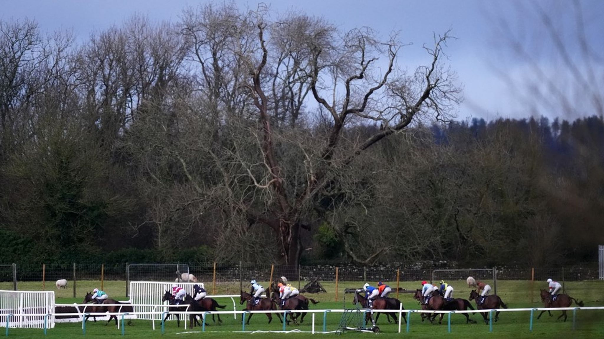 Today on Sky Sports Racing: Chepstow, Hexham and Wolverhampton | Racing ...