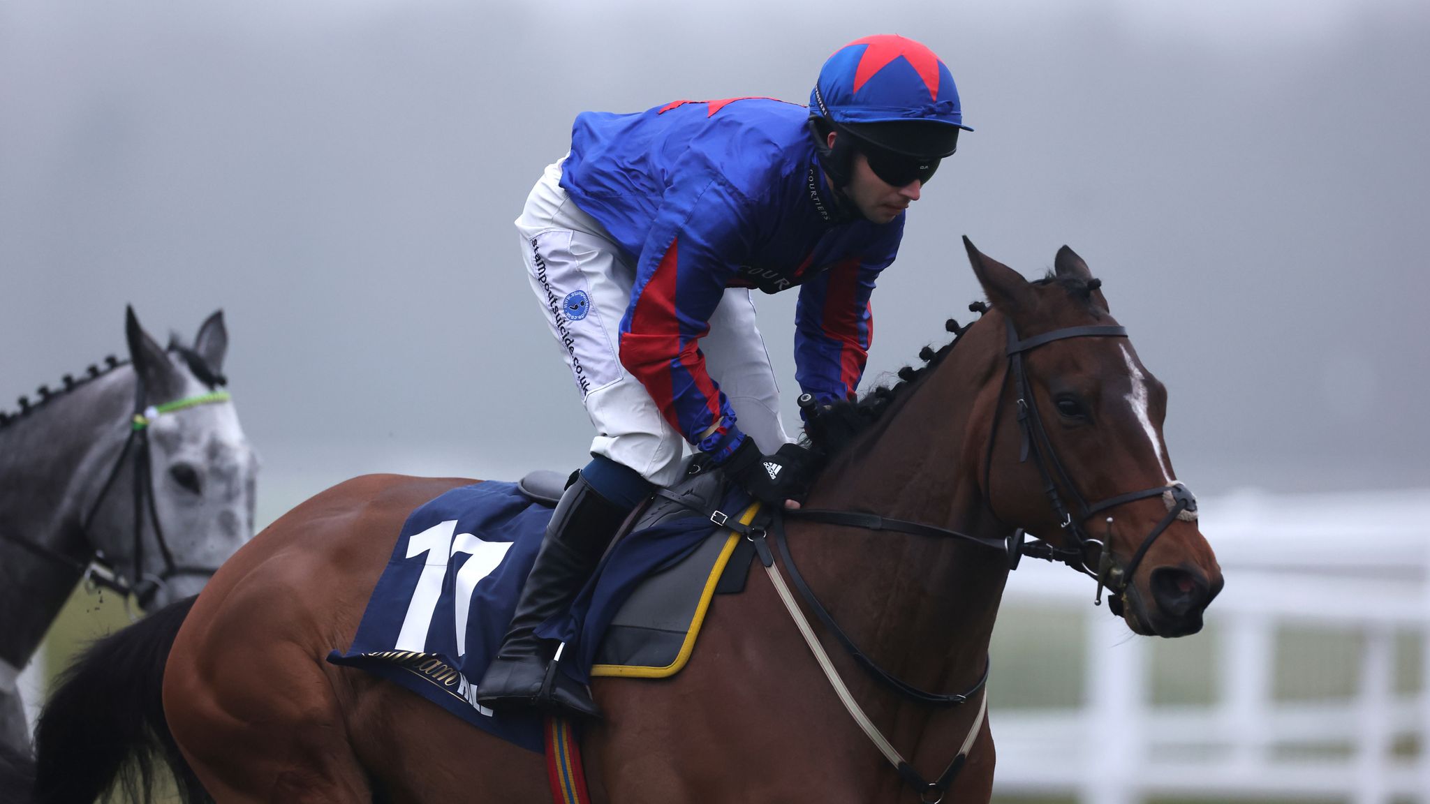 Chepstow tips: Josh The Boss backed to lift Silver Trophy on Saturday ...