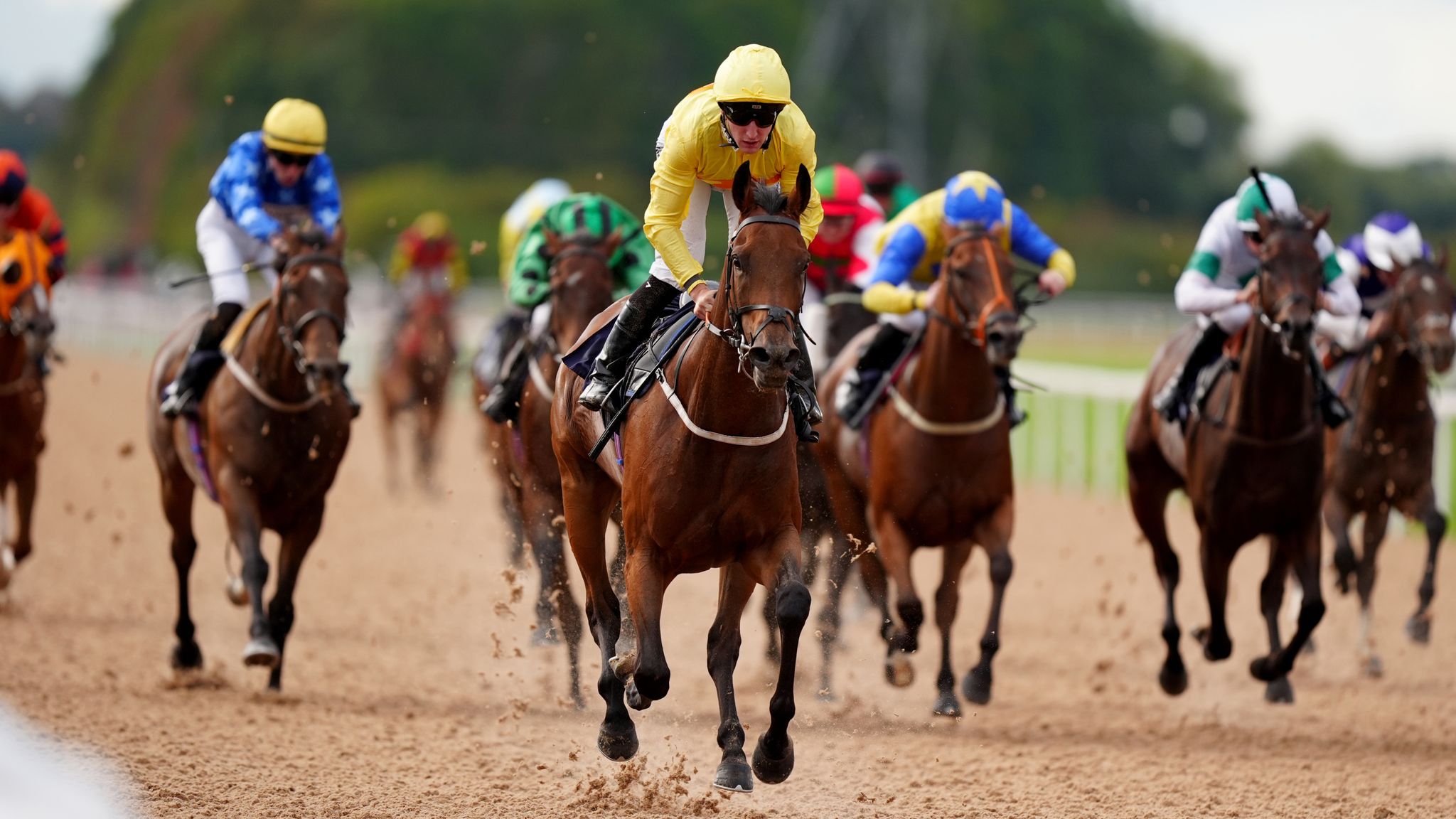 Today on Sky Sports Racing: Brighton, Ffos Las and Southwell feature ...