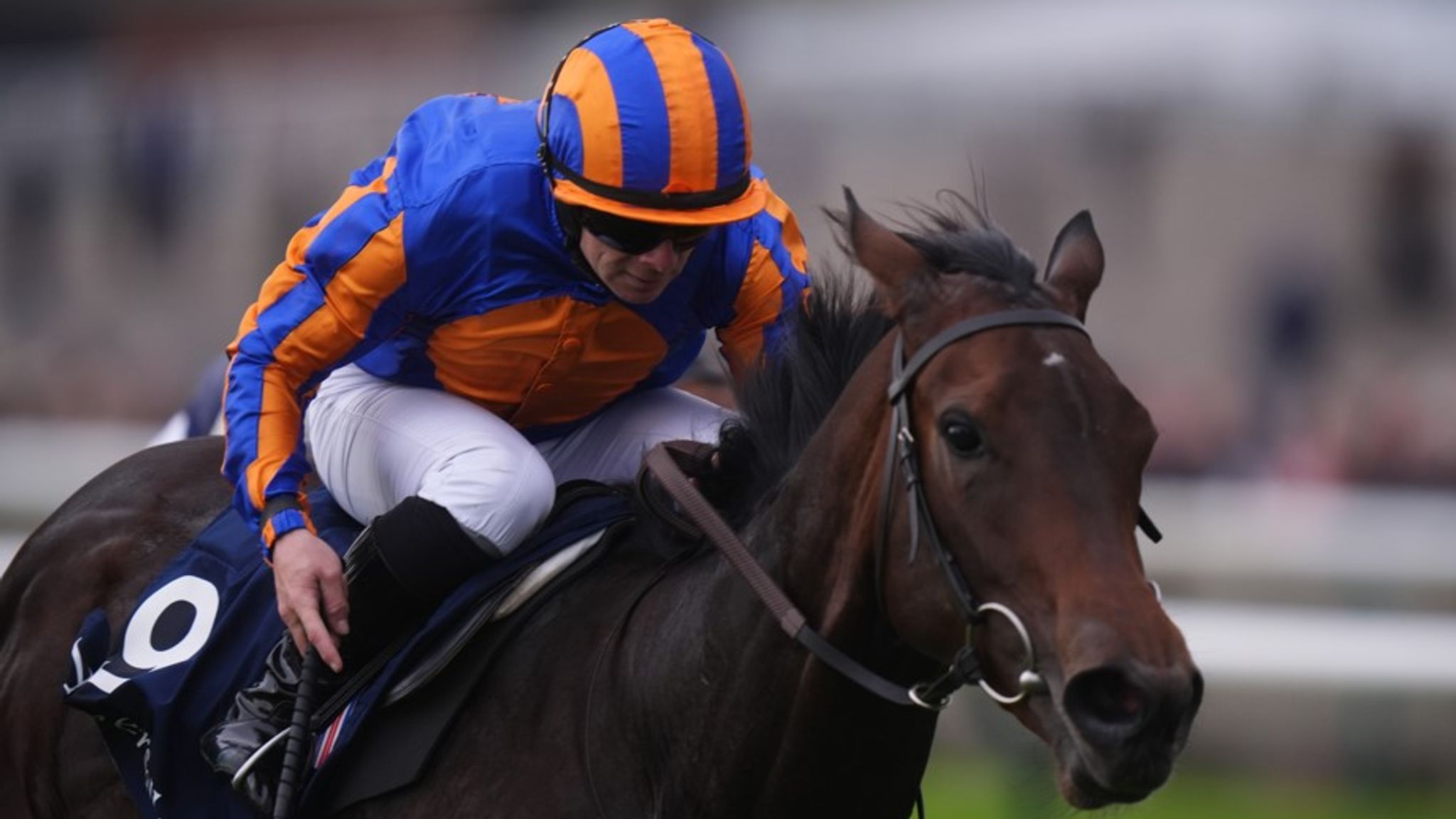 Today on Sky Sports Racing: O'Brien duo True Love and Brussels do ...