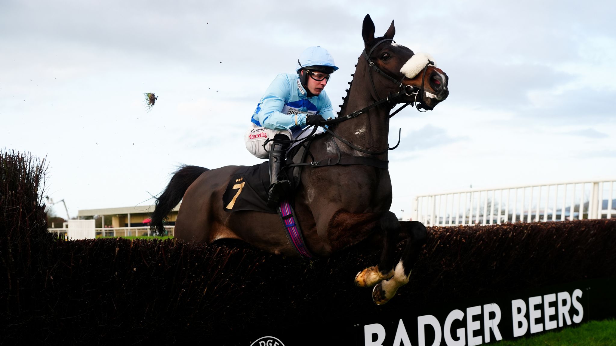 Gustavian makes it third time lucky in the Badger Beers Handicap Chase at Wincanton | Racing ...