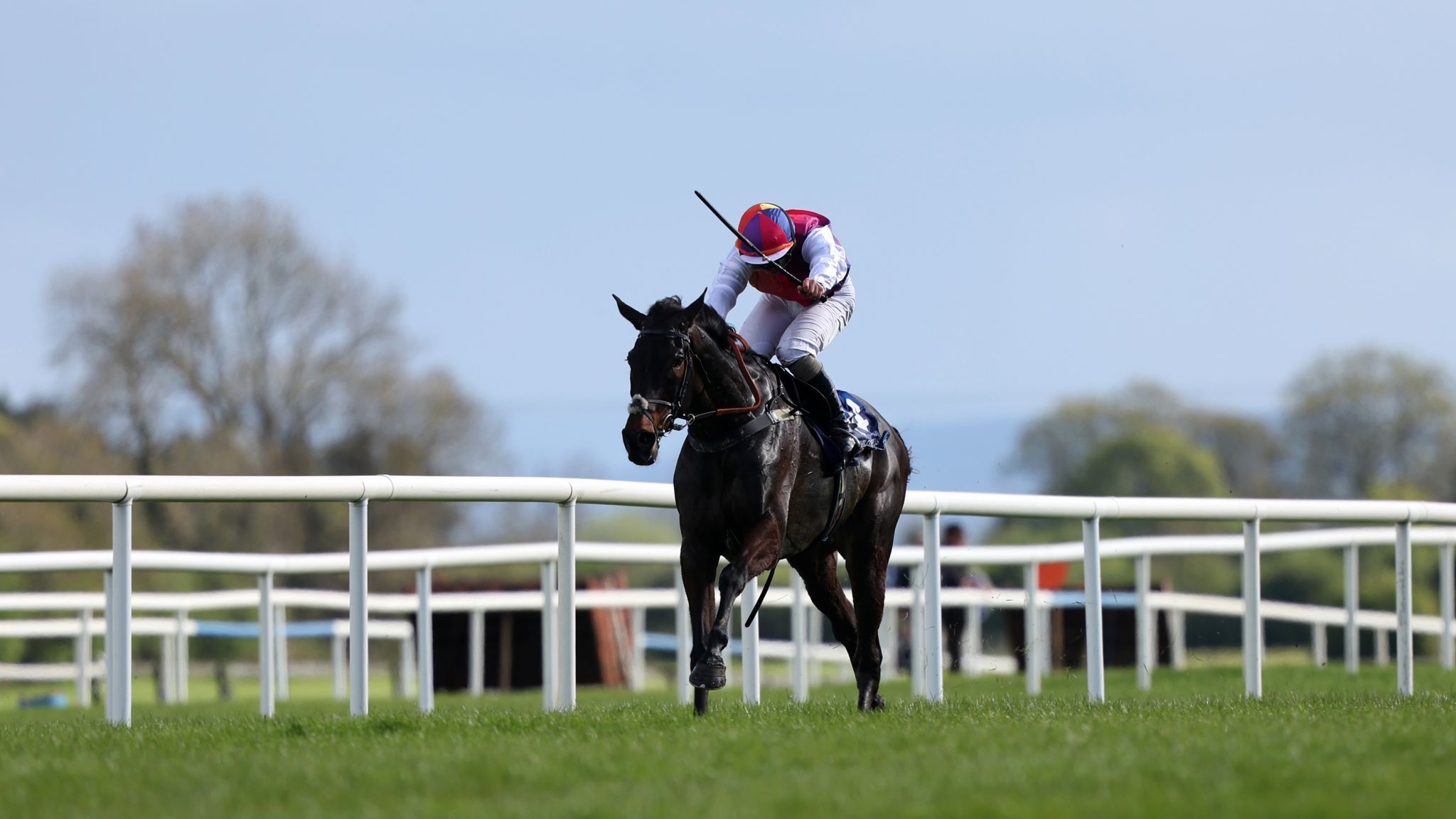 Newbury: Grand National favourite Haiti Couleurs delights with comeback ...
