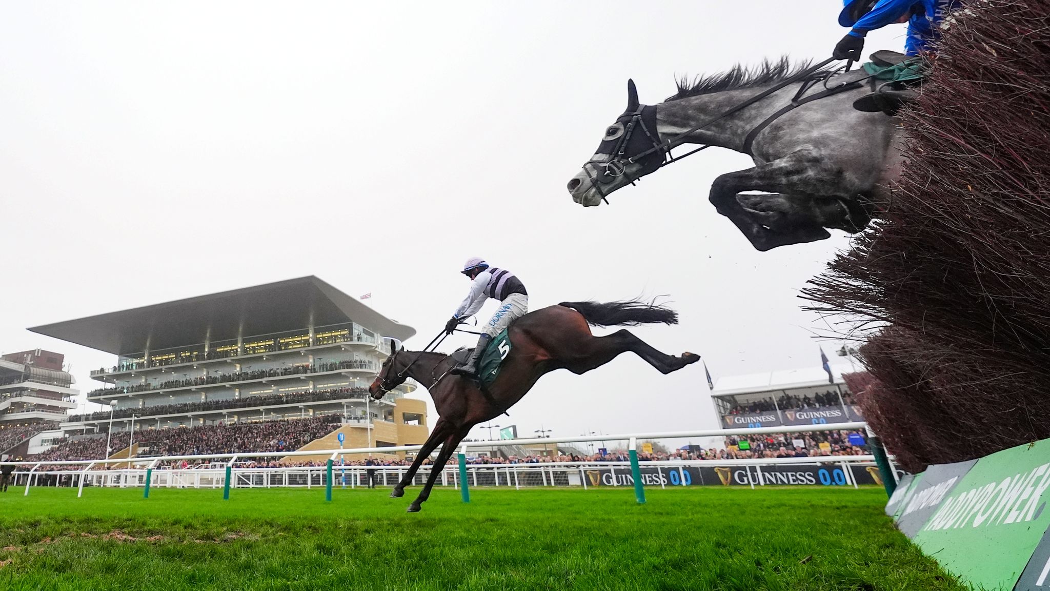 Cheltenham: July Flower in full bloom for Henry De Bromhead with Arkle ...
