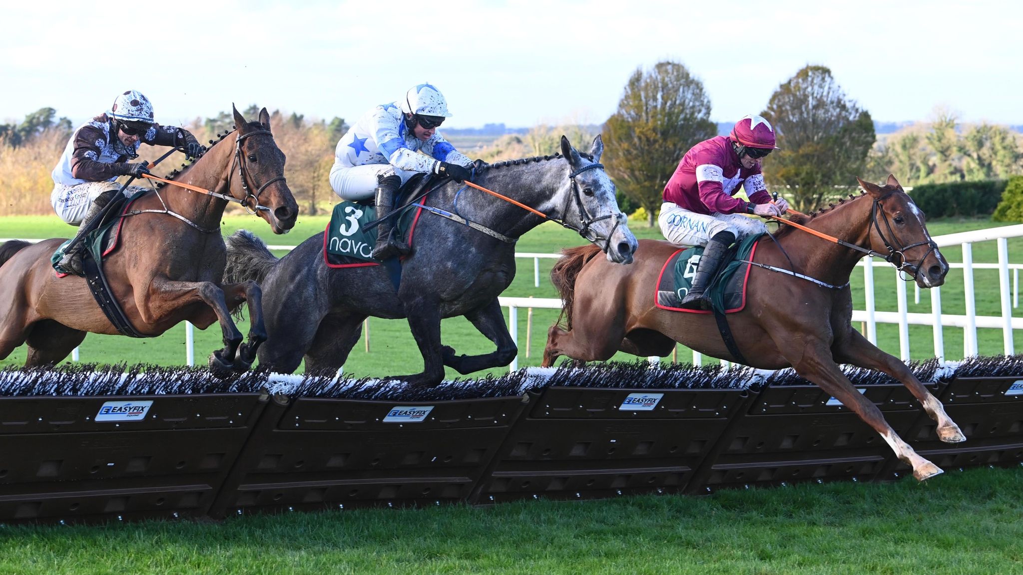 Troytown Handicap Chase: Answer To Kayf takes honours for Terence O ...