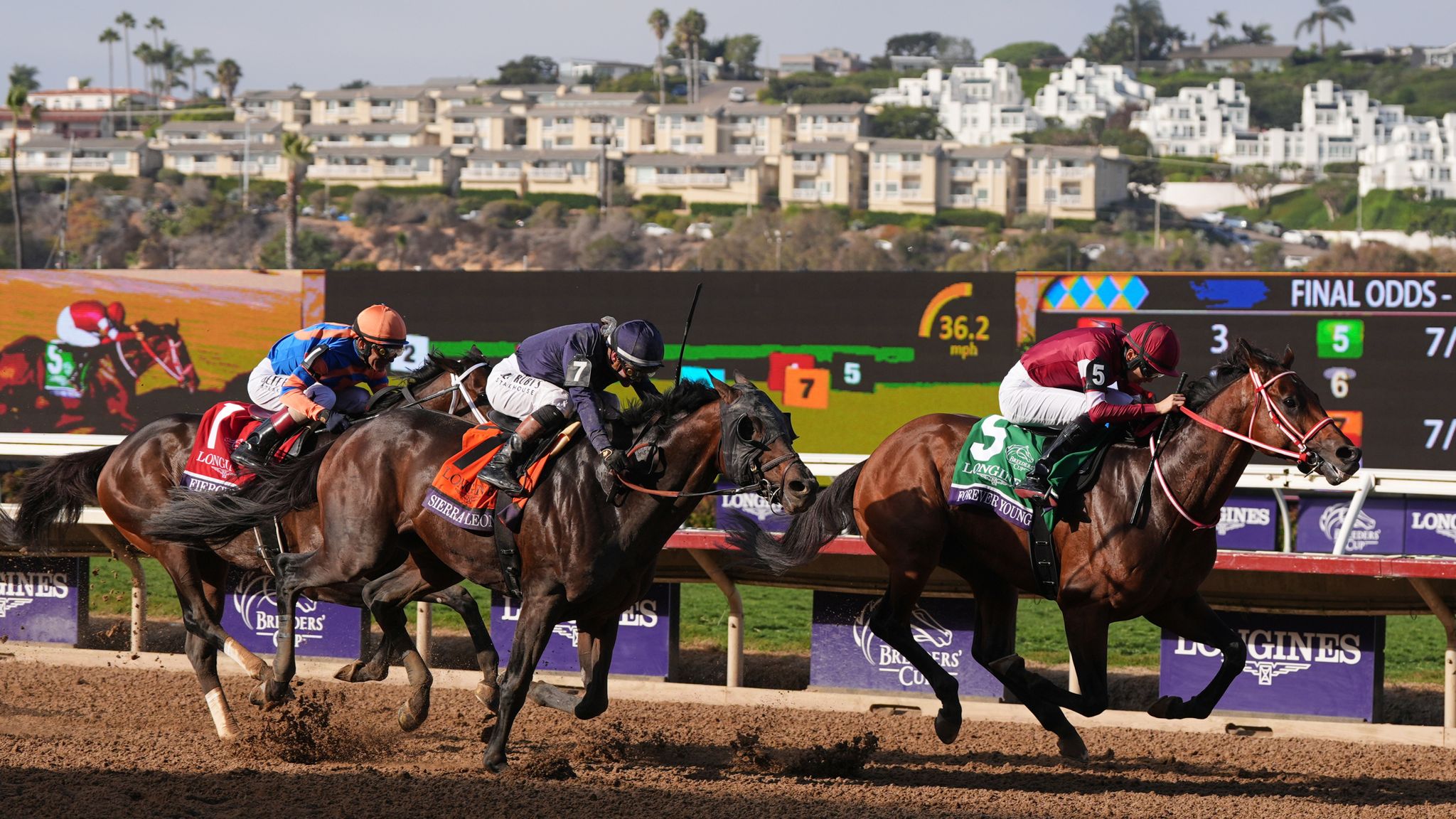 Breeders' Cup 2025: Forever Young produces Classic performance for Japan under Ryusei Sakai ...