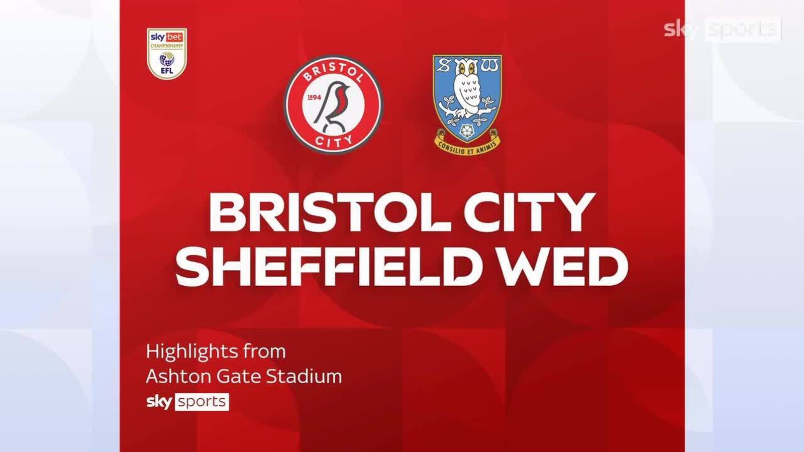 Bristol City 2-0 Sheffield Wednesday - Bristol City News - Football ...