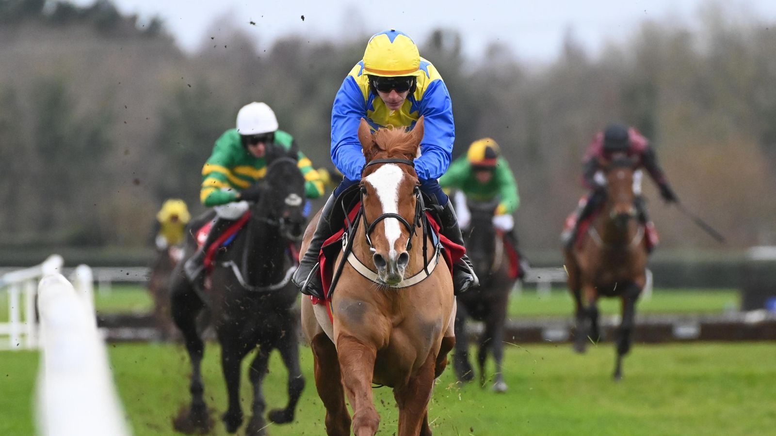 Racing round-up: Bambino Fever impresses at Fairyhouse | Racing News ...