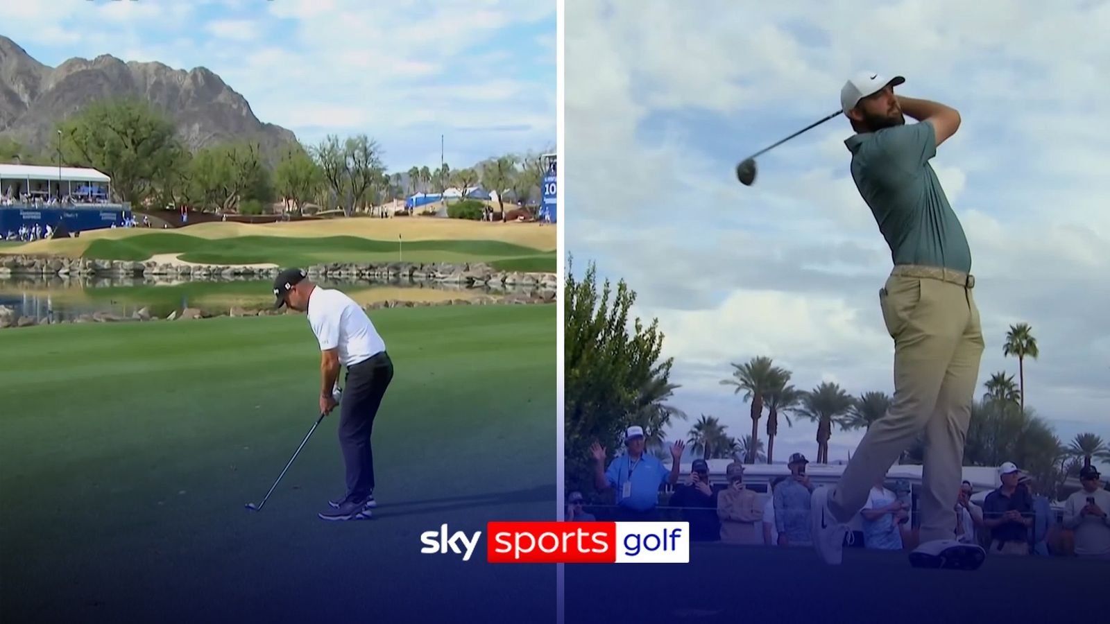 PGA Tour: Brian Harman hits wrong ball before Scottie Scheffler hits ...