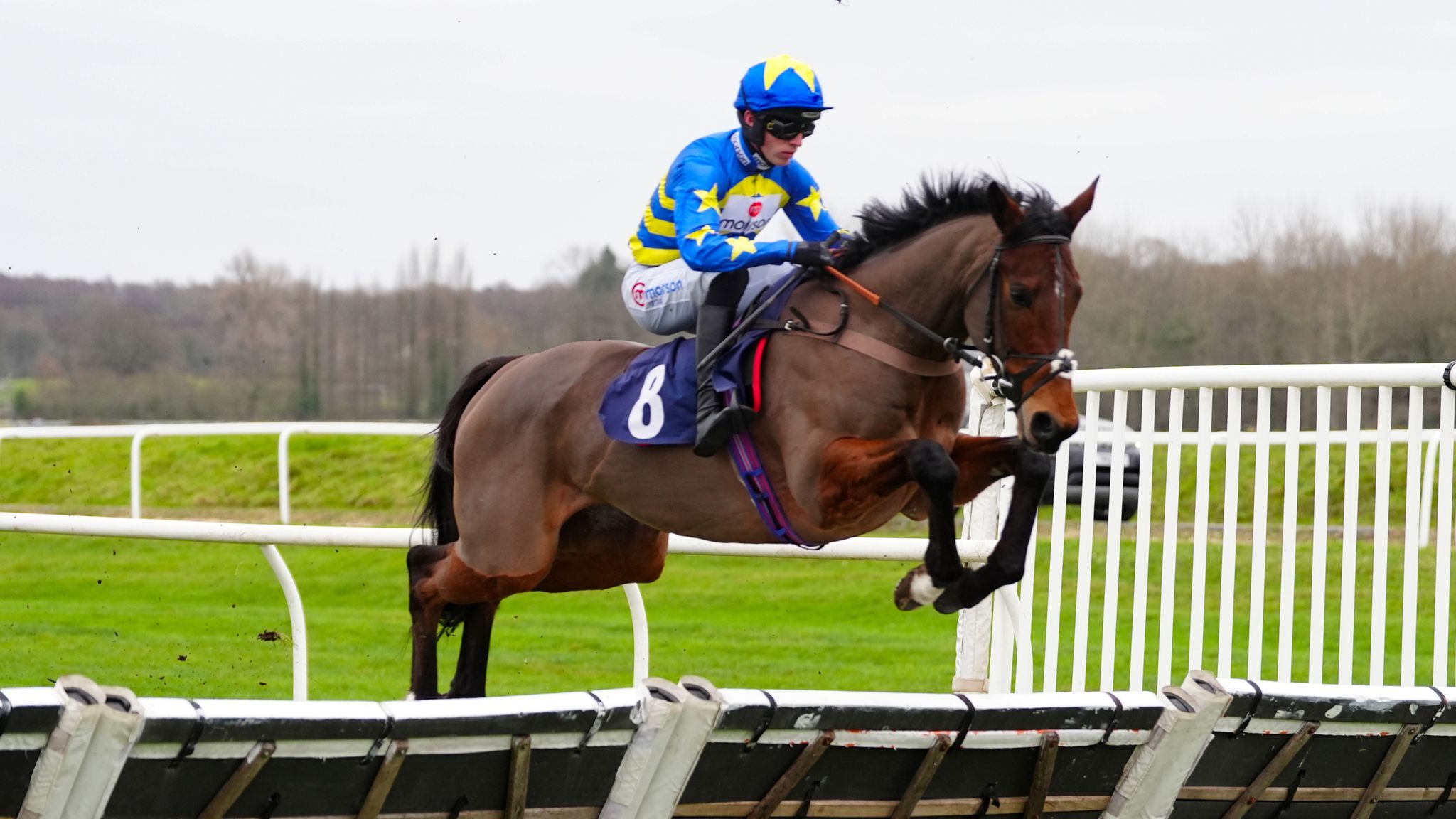 Cheltenham Trials Day: Harry Cobden sidelined through shoulder injury ...