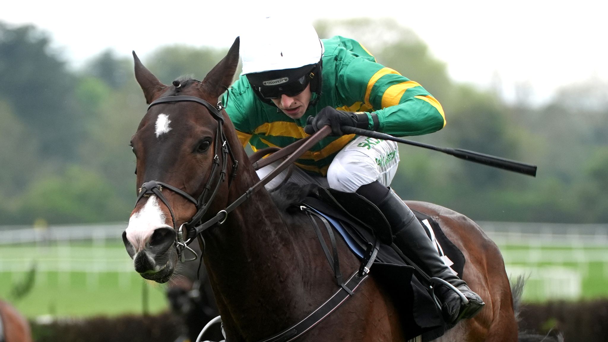 Unbridled Cheltenham Festival day 2 preview: 66/1 fancy in the Champion ...