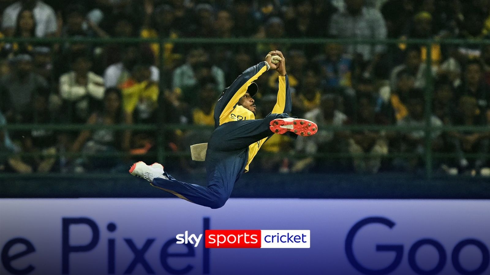 T20 World Cup: Australia on brink of elimination after crushing defeat ...