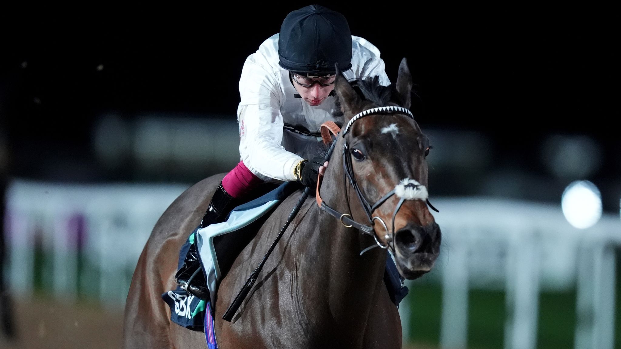 Constitution Hill: 2023 Champion Hurdle hero romps home at Southwell to ...