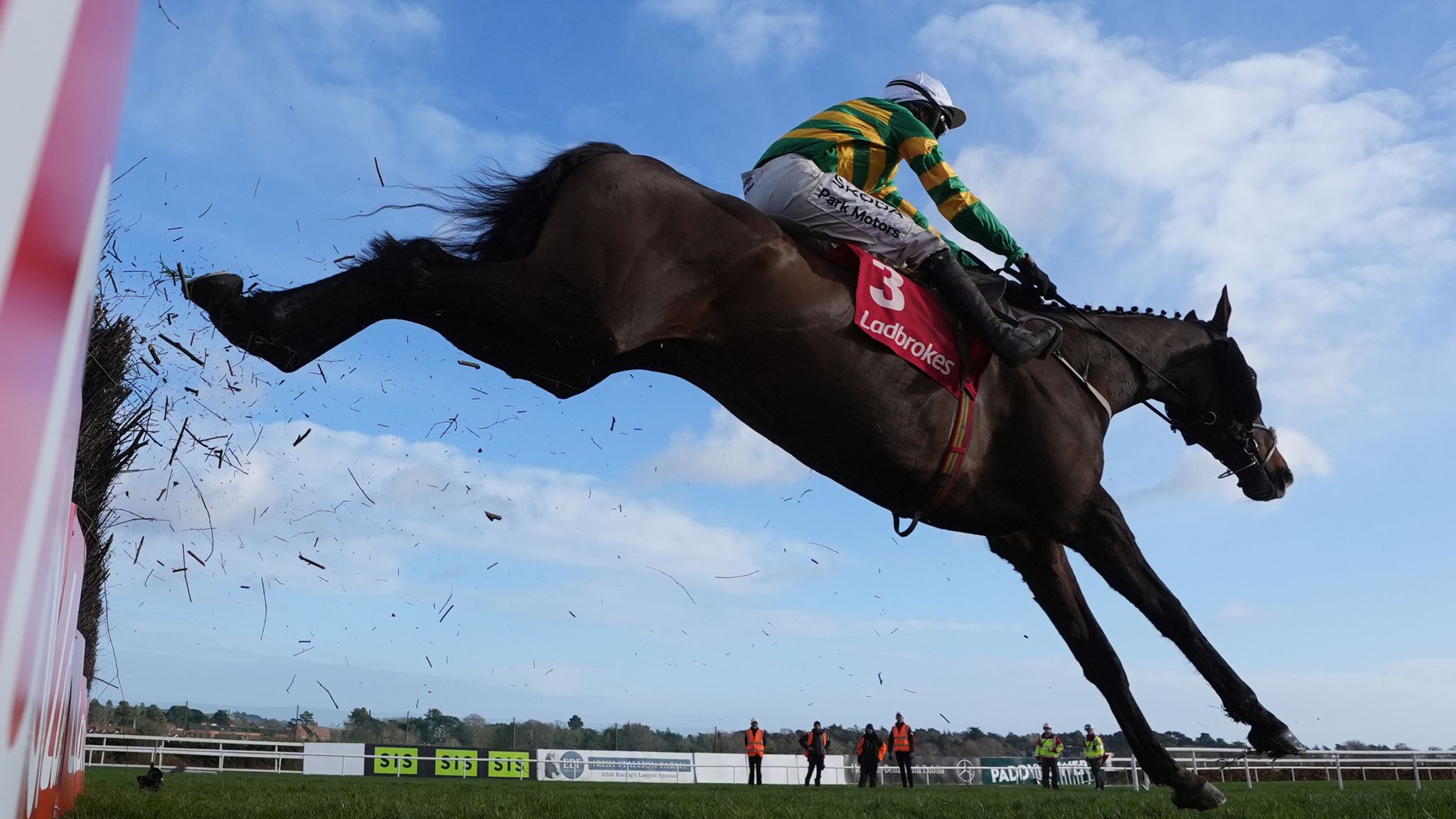 Leopardstown: Majborough stamps his class on Dublin Chase for Willie ...