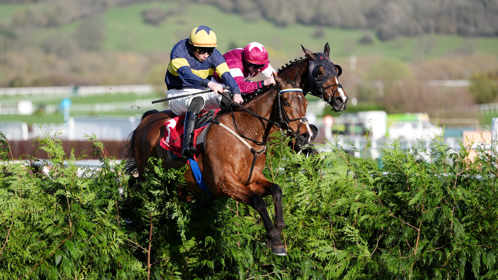 Queen Mother Champion Chase: Il Etait Temps dazzles on day two of ...