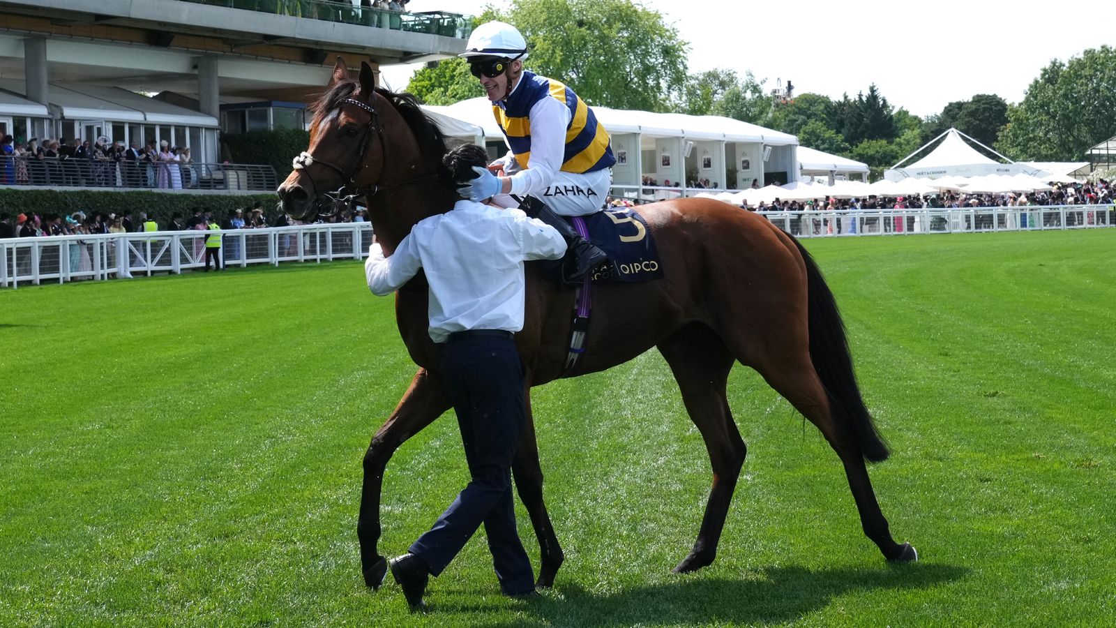 Today on Sky Sports Racing: Lincoln and Dubai World Cup headline ...
