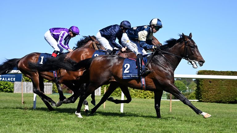 Horse Racing News
