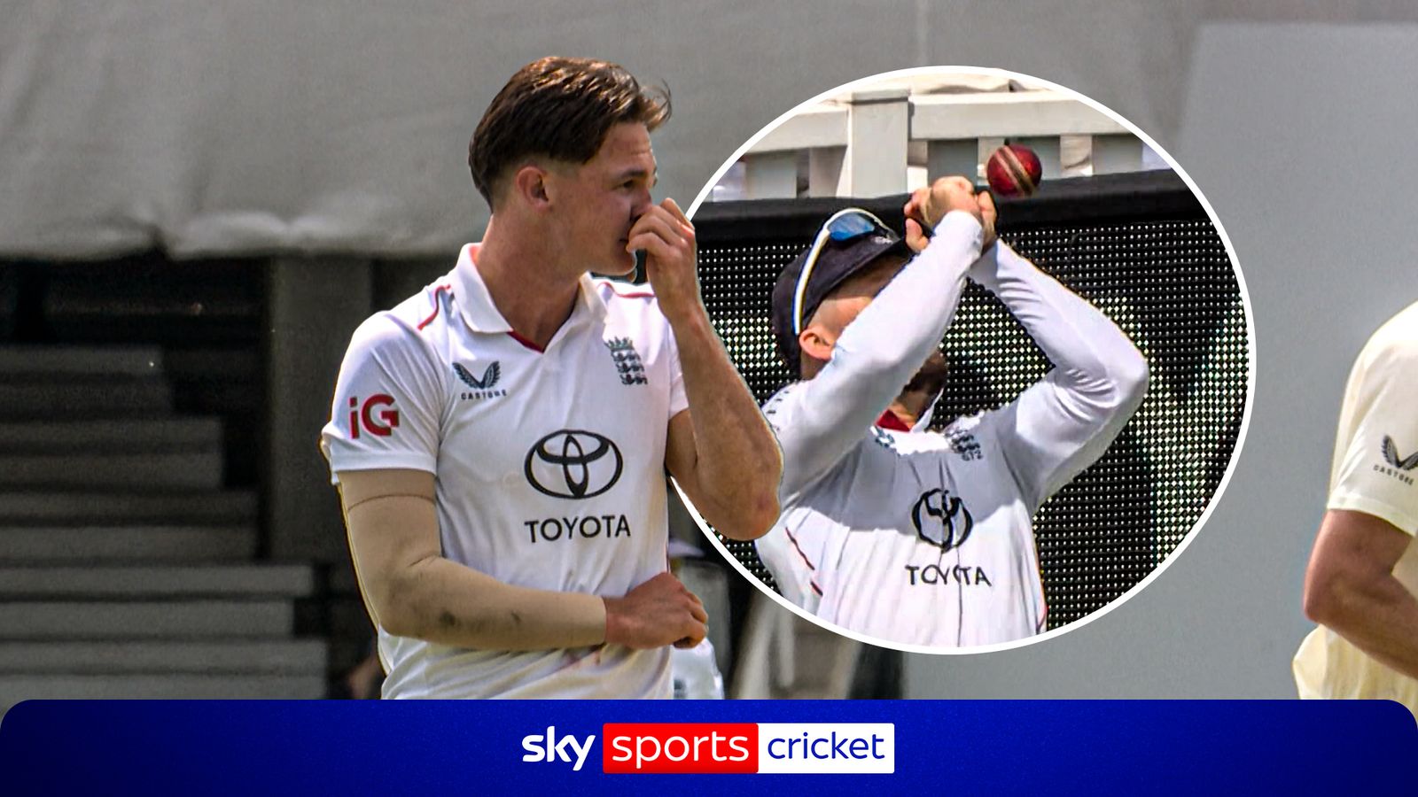 England pay price for 'inept' and 'brainless' morning session as New ...